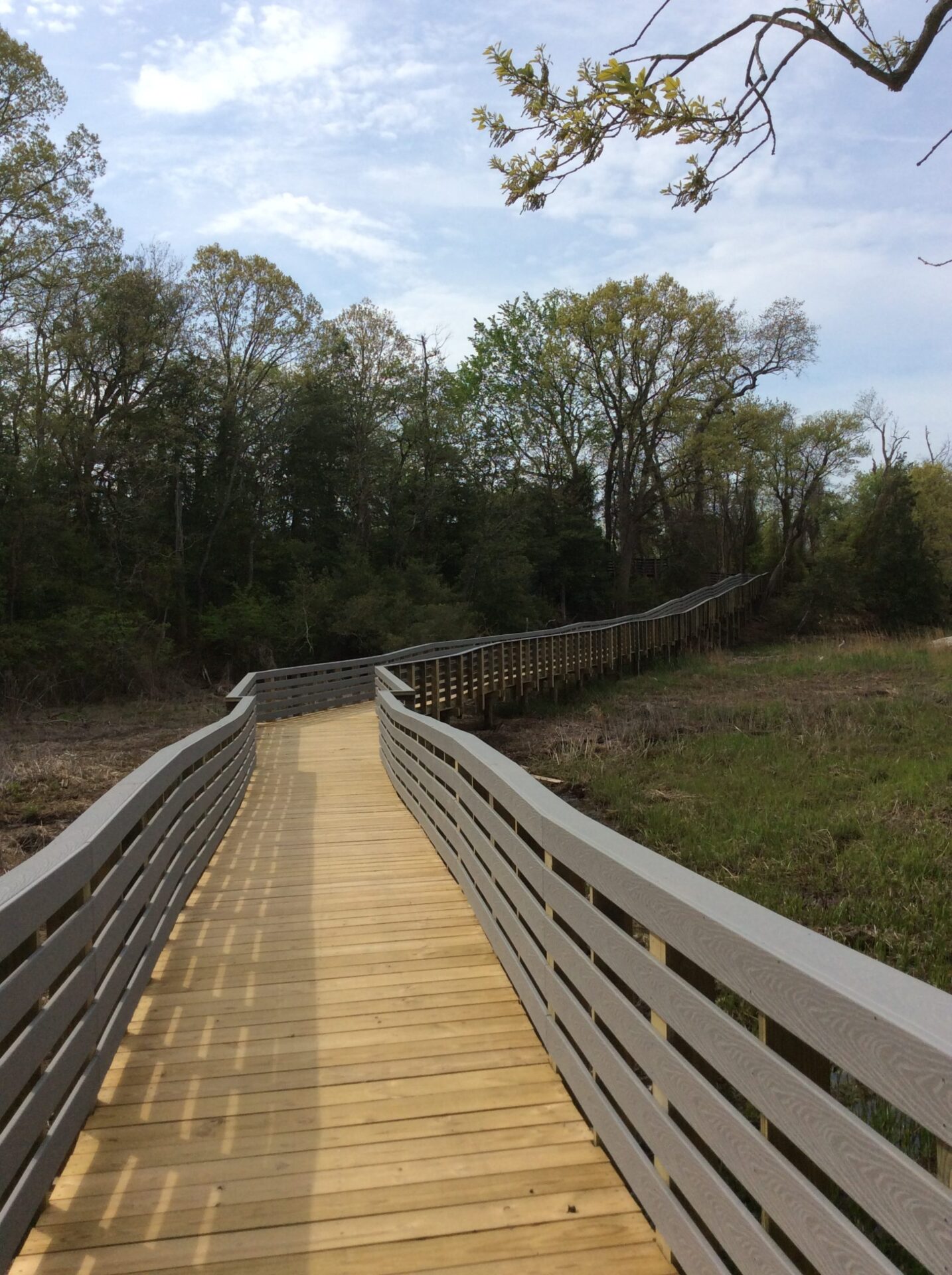 Marine – S E Davis Construction