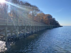 S E Davis Construction – S E Davis Construction, Commercial and Marine ...